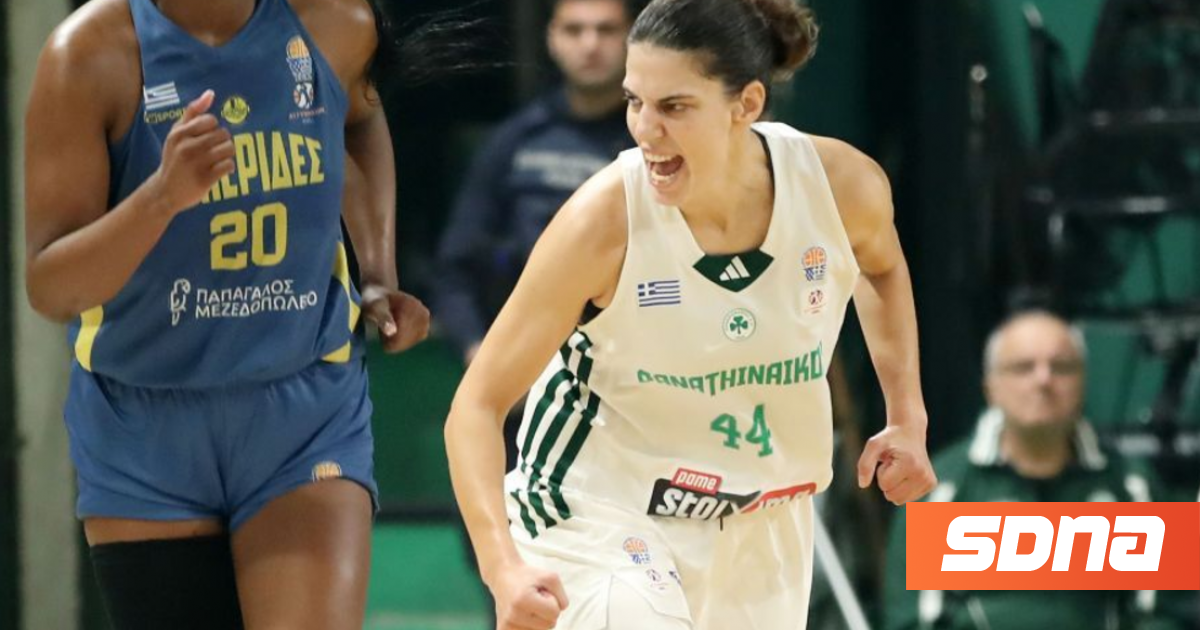 Παναθηναϊκός - Εσπερίδες 71-63 | SDNA